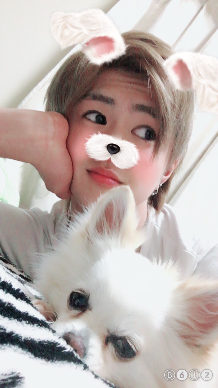美女と野獣（ぱぴーさんの投稿写真） | 犬・愛犬フォトコンテスト イヌトミィ